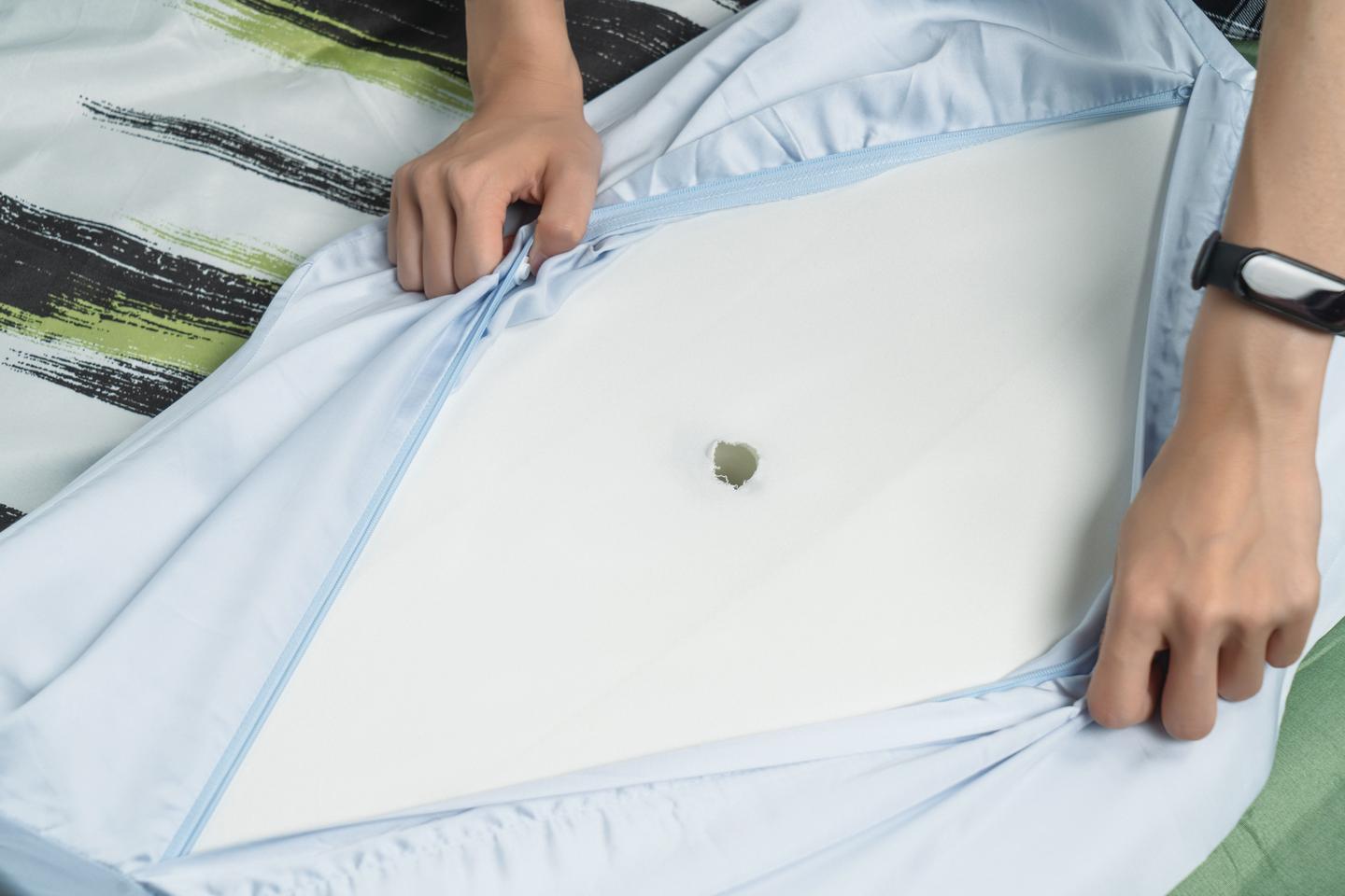 枕头枕头如何选？价格100-400元之间，睡眠博士|亚朵|7C|翼眠|躺岛六款枕头横评，哪款才更值得入手？