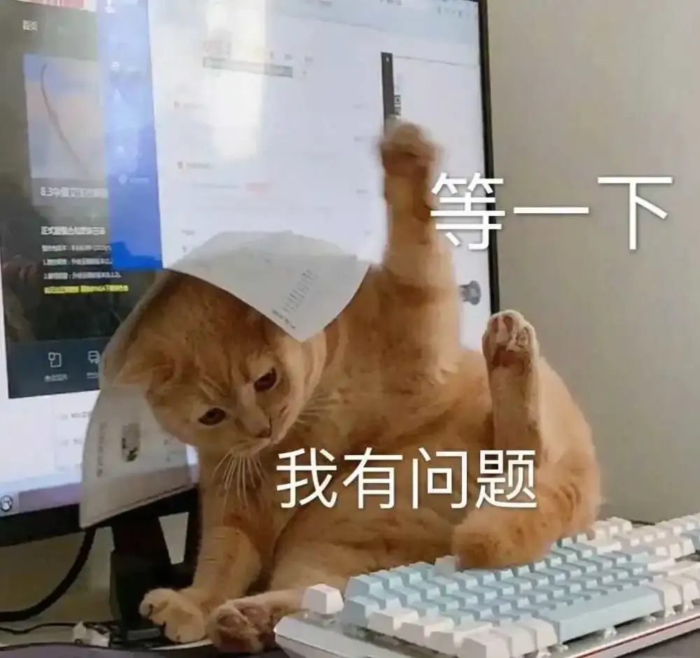 110张可爱的猫猫表情包 - 知乎