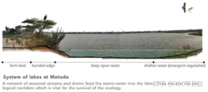 RAC重磅首发！2020ASLA学生奖公布，北大天大华南农安徽大等八校获奖，中国学生强势霸屏！！ - 知乎