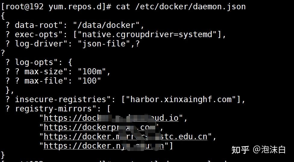 unable to configure the Docker daemon with file /etc/docker/daemon.json: invalid character 'Â ...