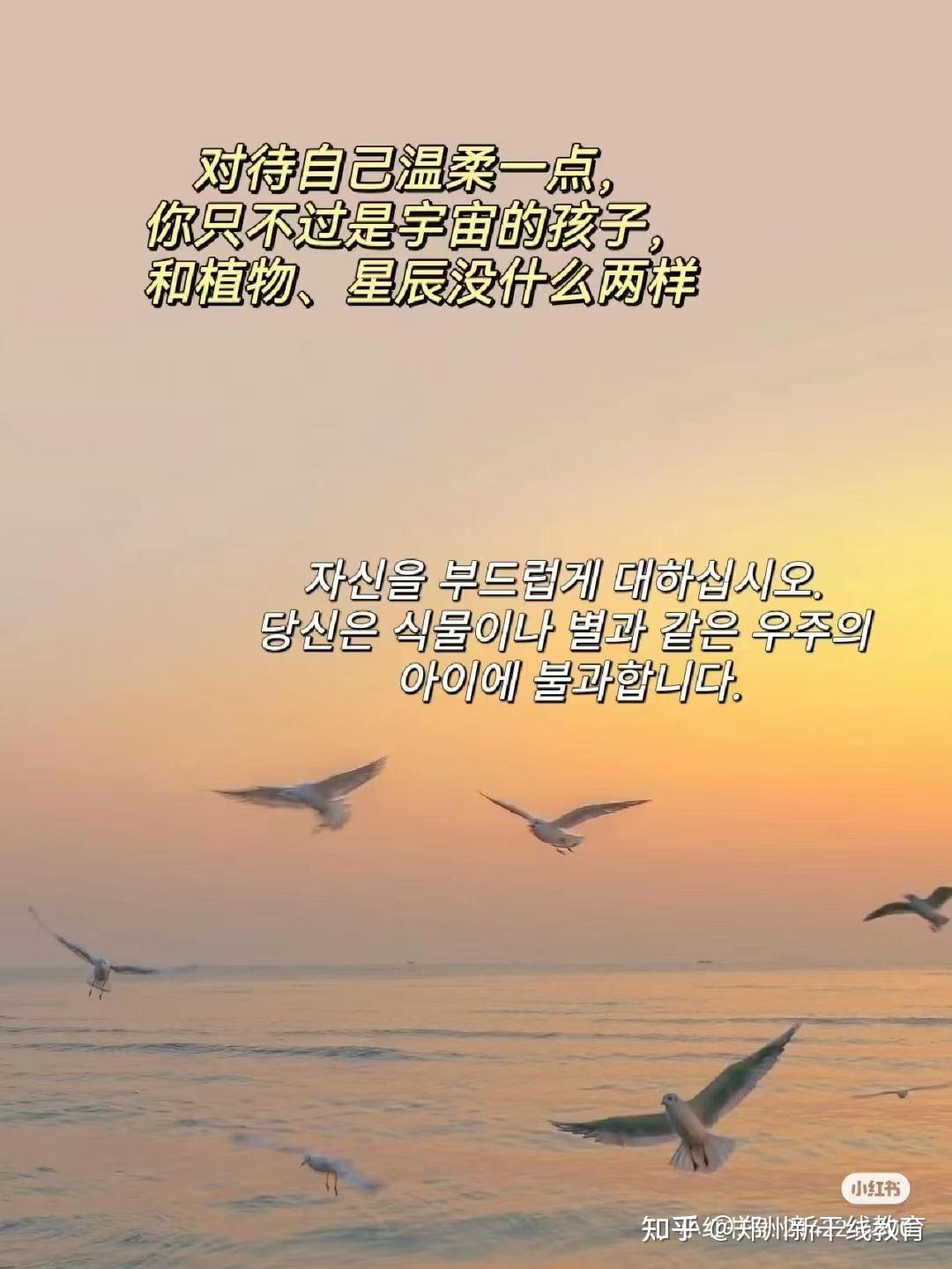 温暖又治愈的韩语小短句 知乎