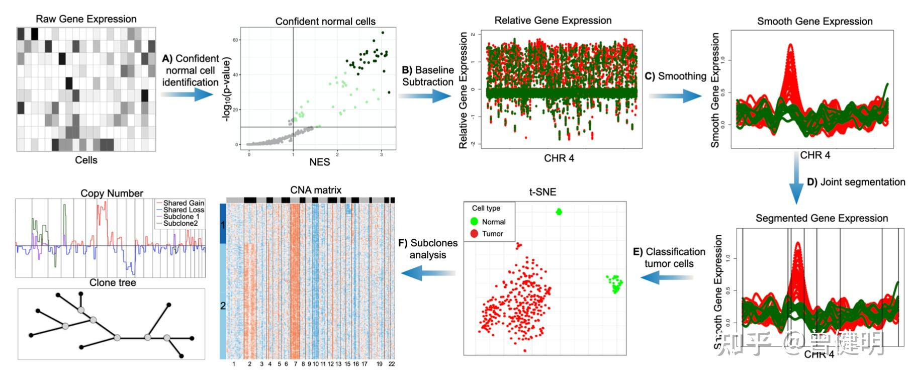 癌症单细胞的恶性肿瘤细胞判定新方法-SCEVAN - 知乎