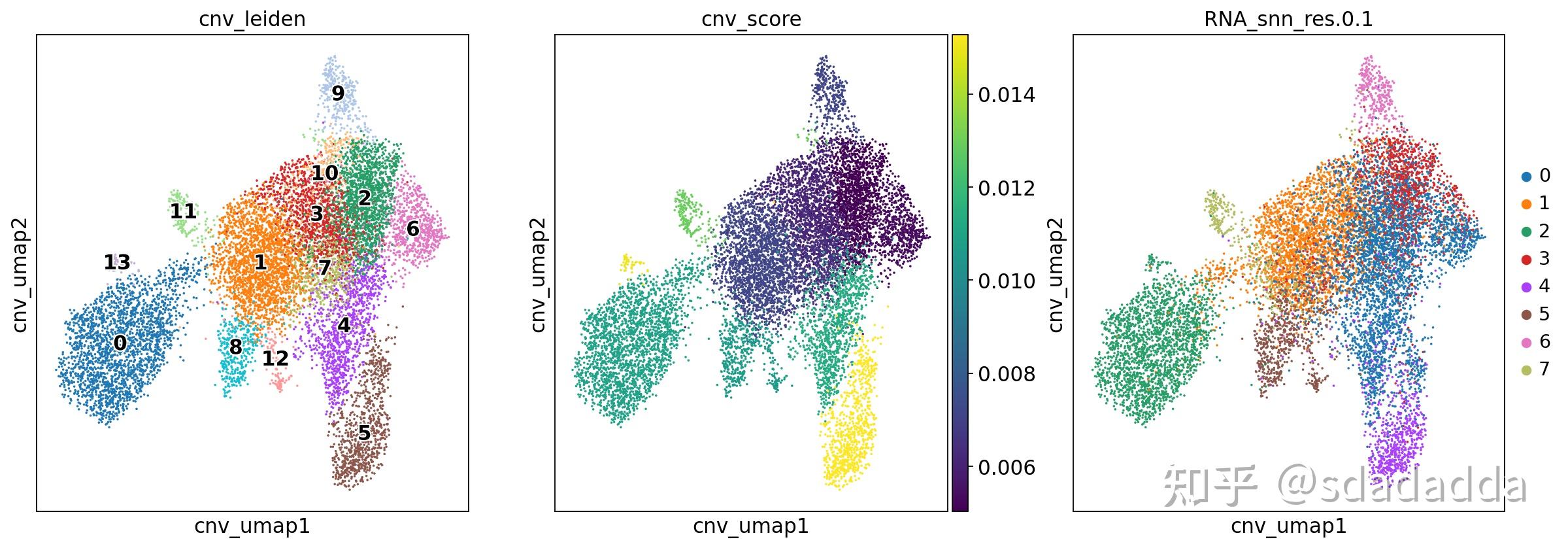 00Python版单细胞初试和infercnvpy拷贝数分析 - 知乎