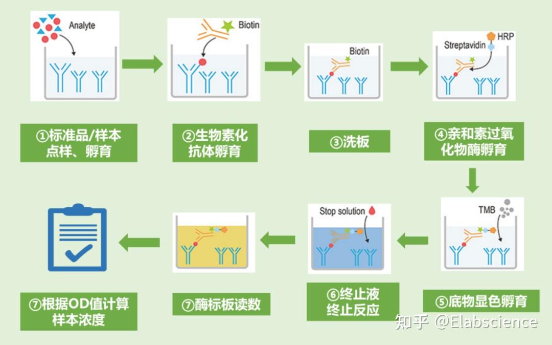 检测实验样本中的靶蛋白，ELISA、WB、IHC选哪个？ - 知乎