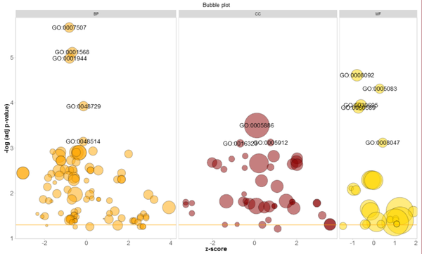 GOplot | 更美观的富集分析可视化 - 知乎
