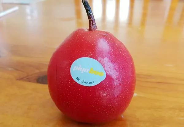 食在新西兰——新西兰红梨 Piqa Boo Pears - 知乎
