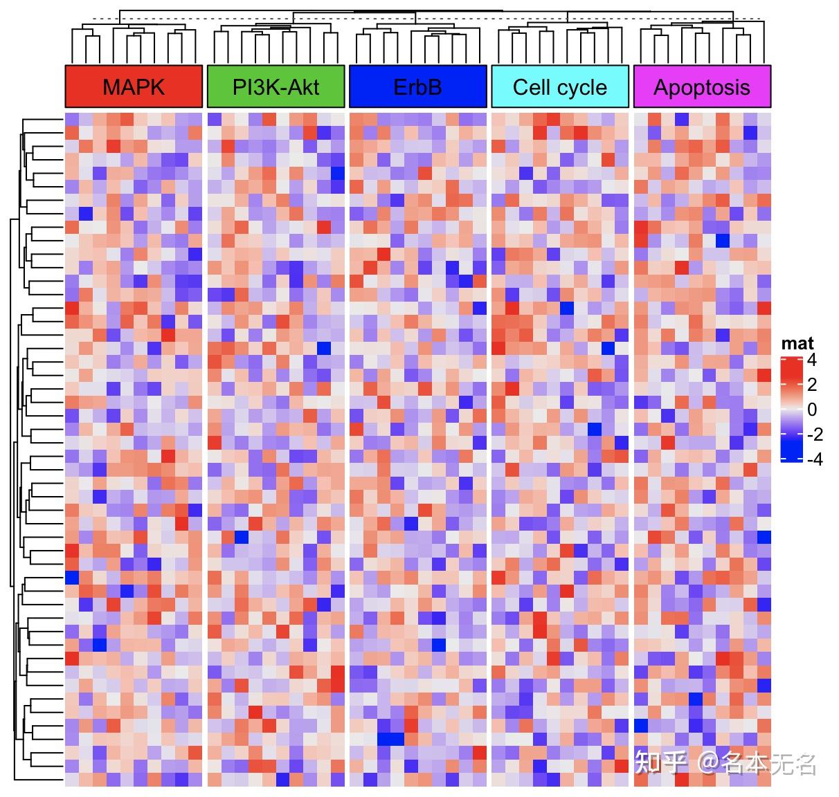 R 数据可视化 —— 聚类热图 ComplexHeatmap(二)注释 - 知乎