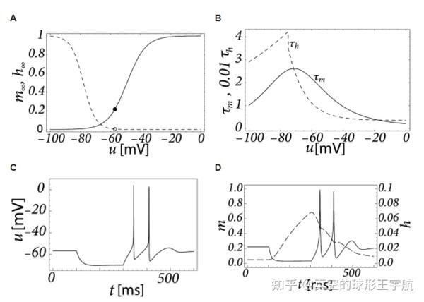Neuronal Dynamics神经动力学笔记：02Hodgkin-Huxley模型（附python源码） - 知乎