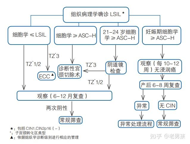 宫颈癌前病变 就诊策略 知乎