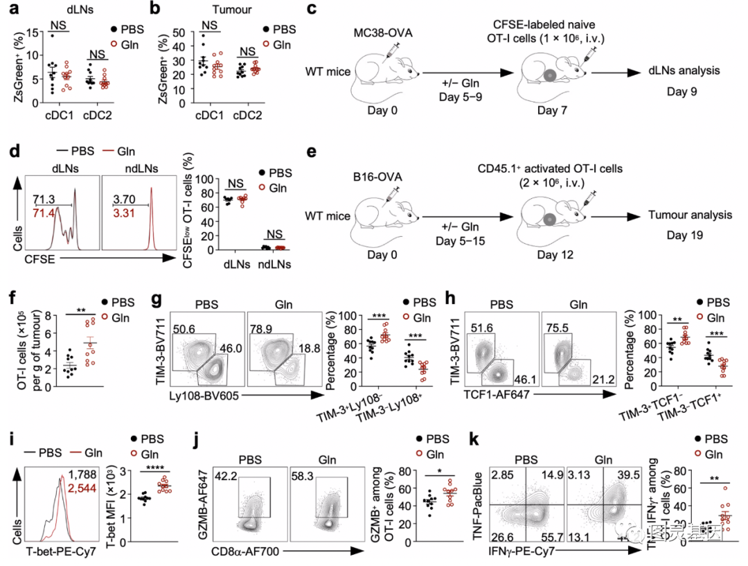 Nature | 迟洪波团队发现肿瘤微环境中营养谷氨酰胺含量可影响免疫系统抗癌反应 - 知乎