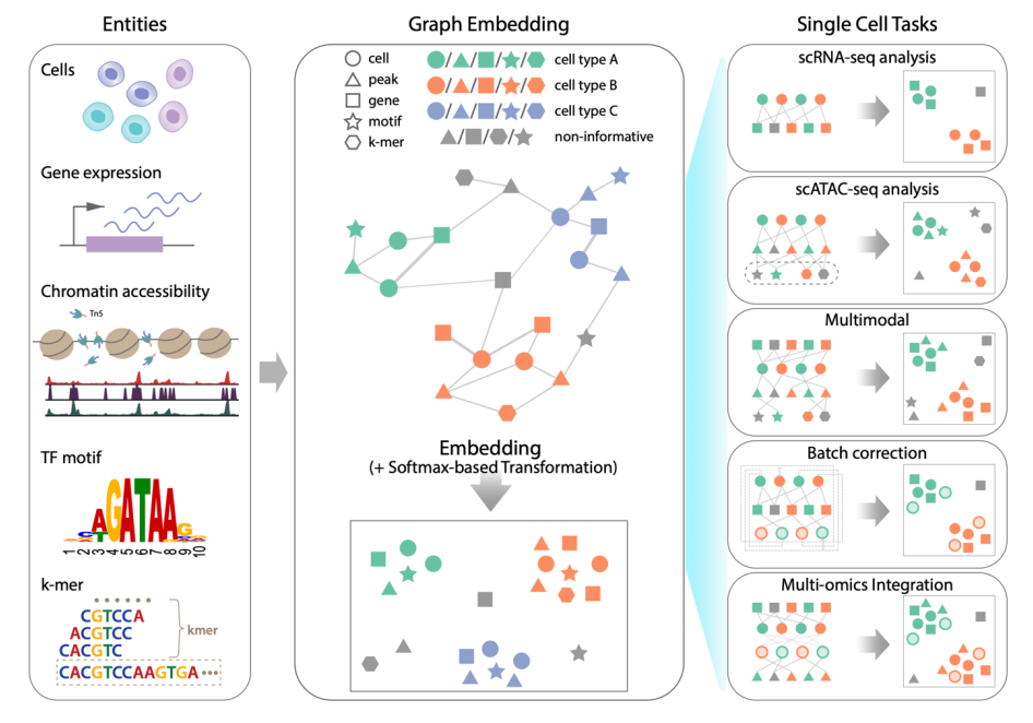 bioRxiv | SIMBA:基于图嵌入的单细胞特征提取模型 - 知乎