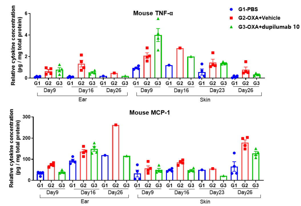 痒不怕，特应性皮炎（AD）模型 “会说话” ？ - 知乎