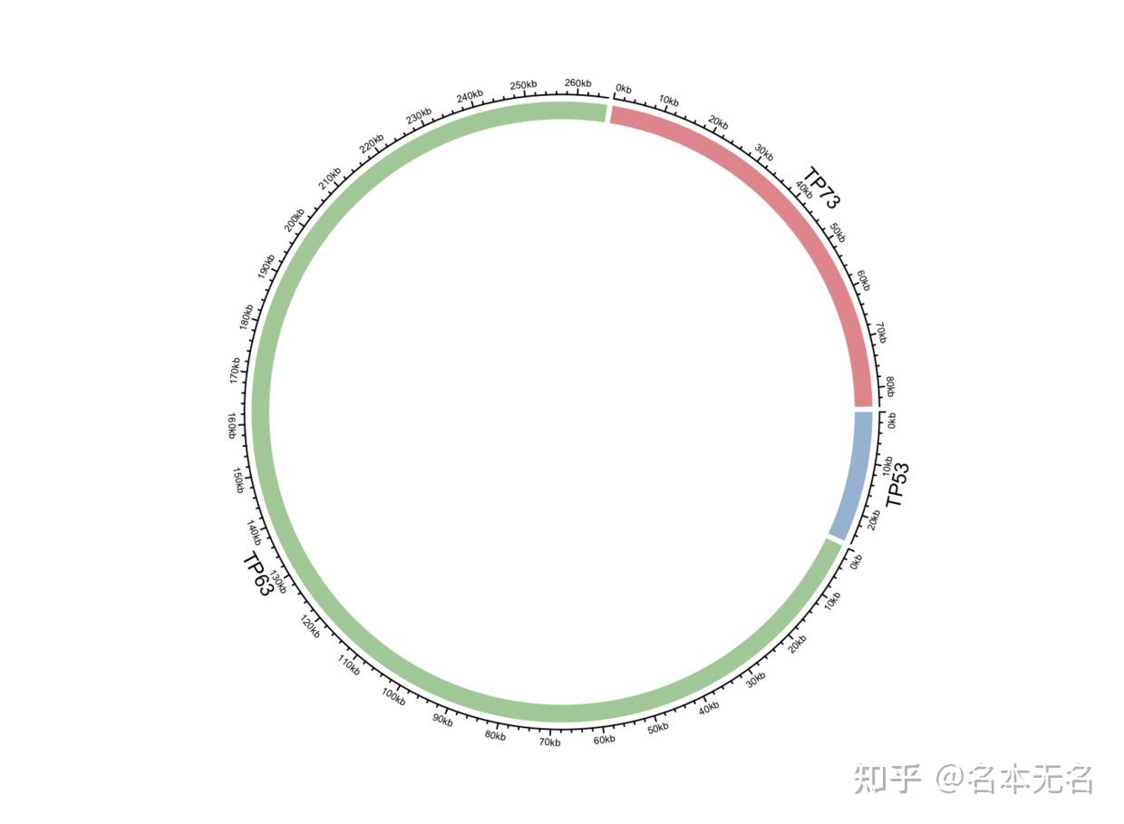 R 数据可视化 —— circlize 基因组初始化 - 知乎