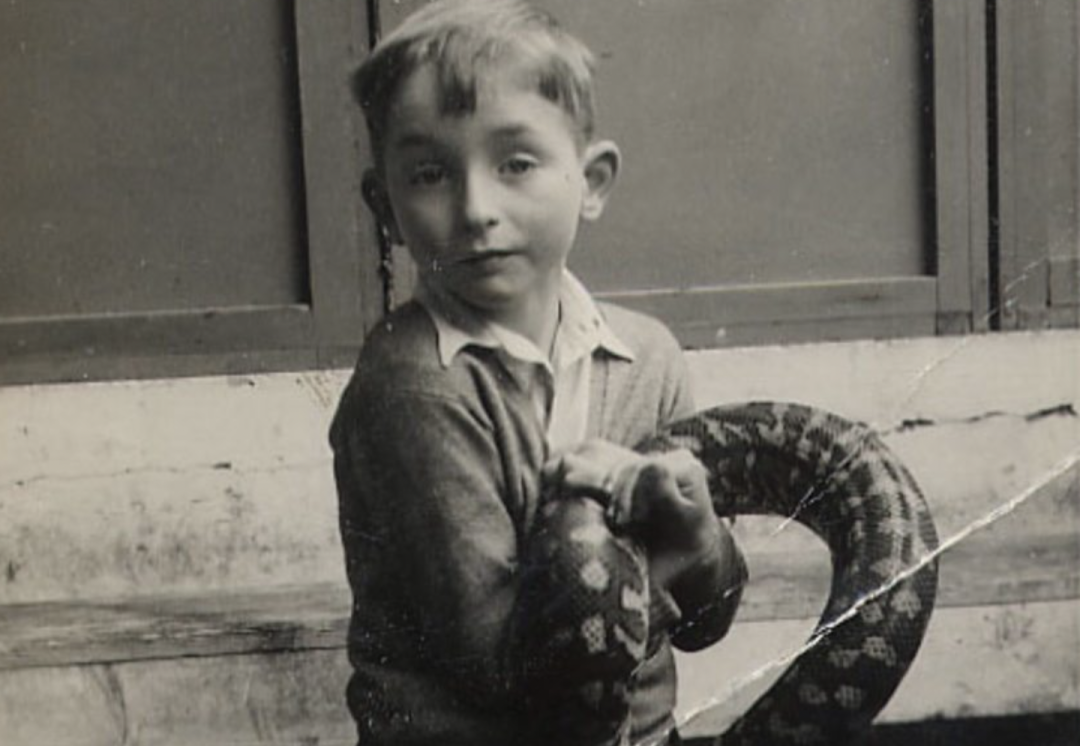 Geoffrey Hinton：我的五十年深度学习生涯与研究心法 - 知乎