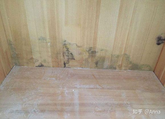 衣柜防霉除湿除虫 知乎