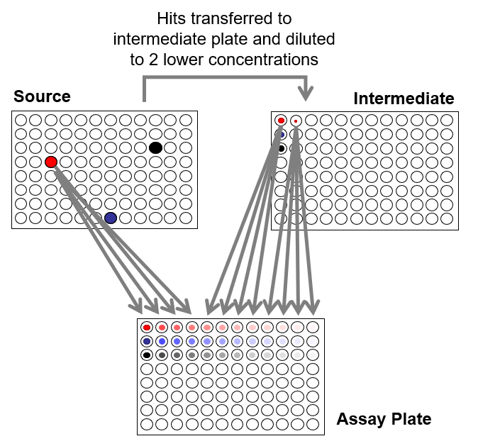 NATURE：KRAS靶向治疗新突破！新型泛KRAS突变抑制剂，可广泛靶向KRAS突变体 - 知乎