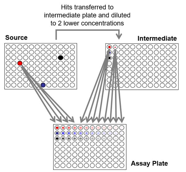 NATURE：KRAS靶向治疗新突破！新型泛KRAS突变抑制剂，可广泛靶向KRAS突变体 - 知乎