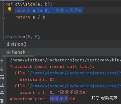 你常常看到 Python 代码中的 assert 是个啥？ - 知乎