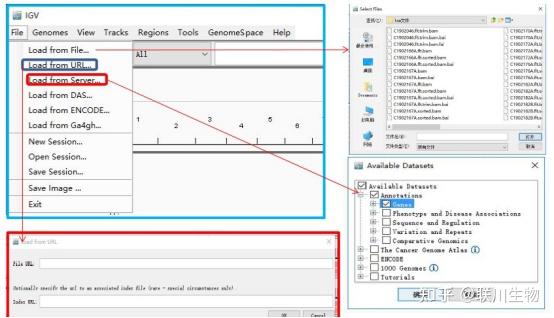 IGV、Tablet、Samtools——比对可视化怎么做？ - 知乎
