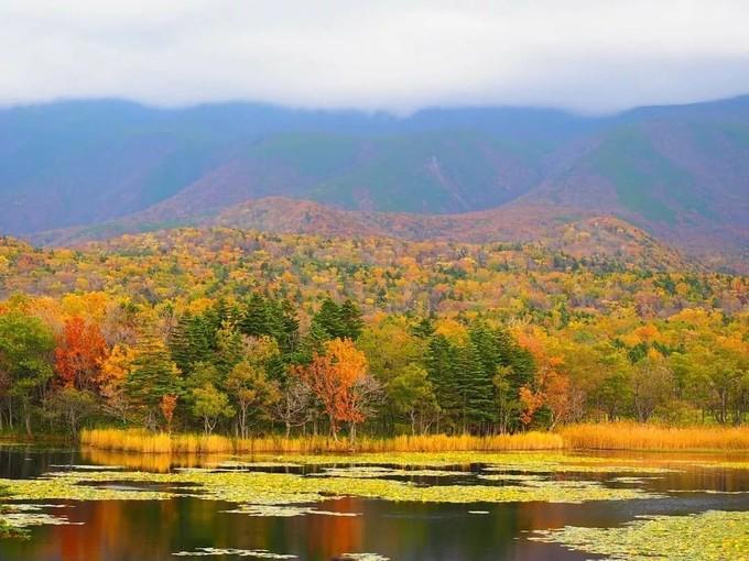 北海道道东||好多人去北海道，我去的是秘境 - 知乎
