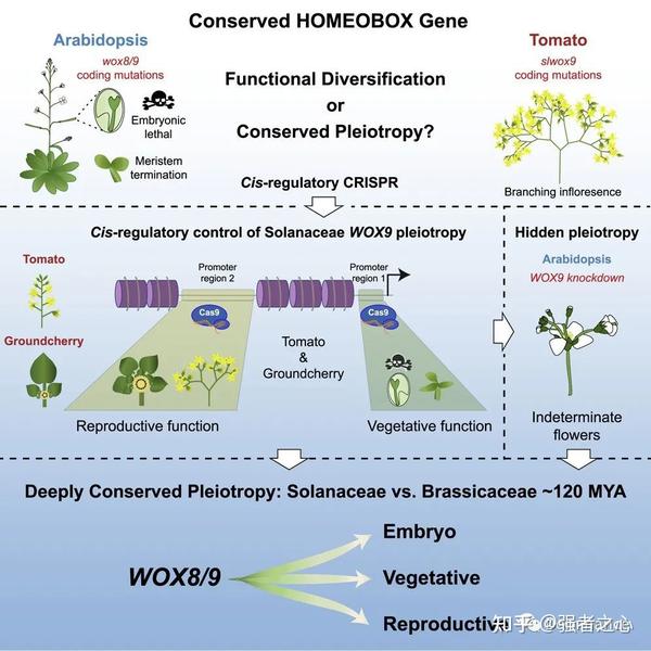 如何玩转概念-Lippman教我们讲故事 - 知乎