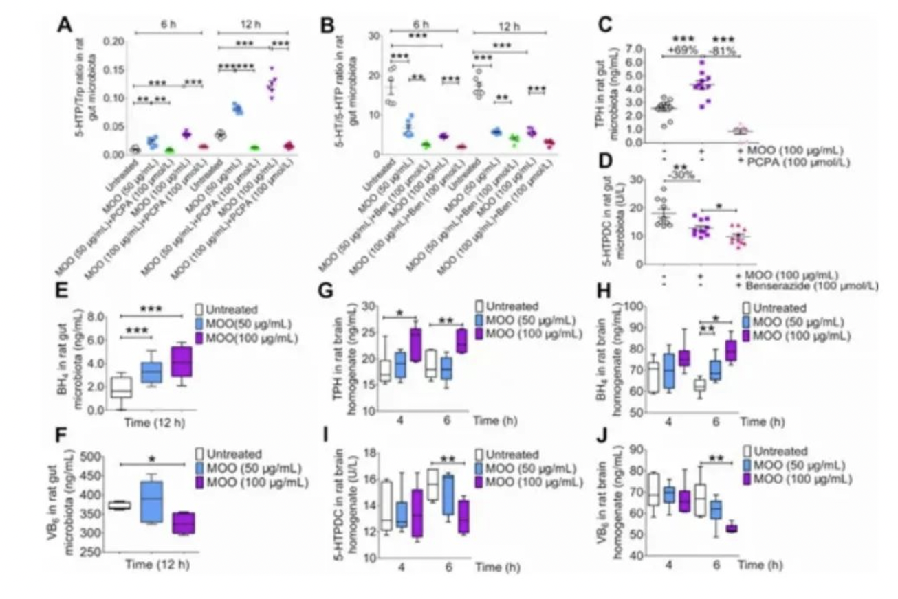 文献解读丨巴戟天寡糖，“肠-脑”对话抗抑郁的天然化学信 - 知乎