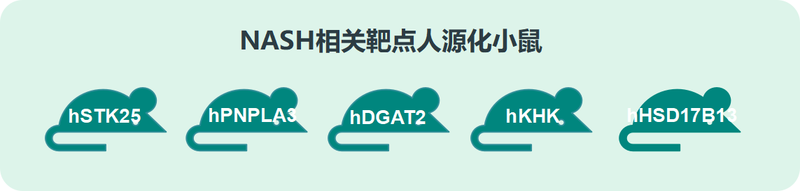 NASH研究新进展│Resmetirom获FDA授予突破性疗法认定 - 知乎