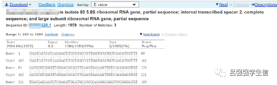 NCBI BLAST结果解读 - 知乎