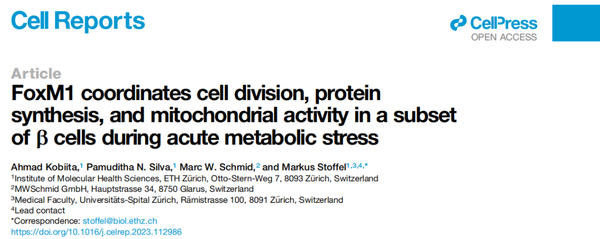 Cell Reports | 表观组学和单细胞测序揭示在急性应激条件下FoxM1协调β细胞亚群的细胞分裂、蛋白质合成和线粒体活性 - 知乎