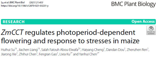 BMC Plant Biol｜DAP-seq和RNA-seq揭示转录因子ZmCCT调节玉米光周期依赖性开花和胁迫响应 - 知乎