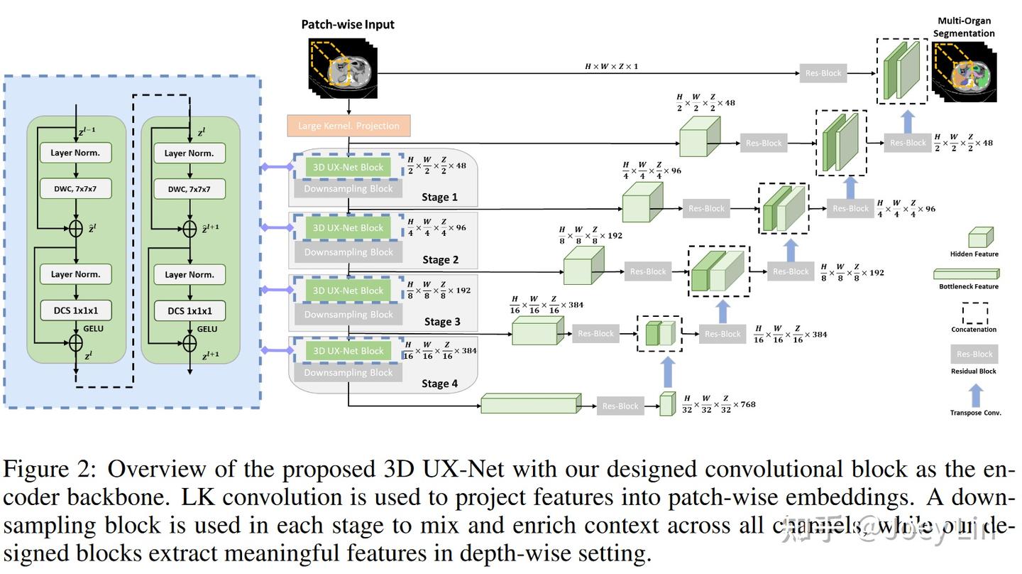 3D UX-NET: 一种用于医学图像分割的大核容积卷积神经网络 - 知乎