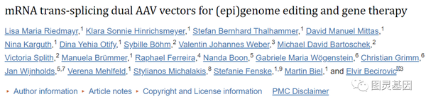 Nat Comm | 双AAV方法使基因编辑更加灵活 - 知乎