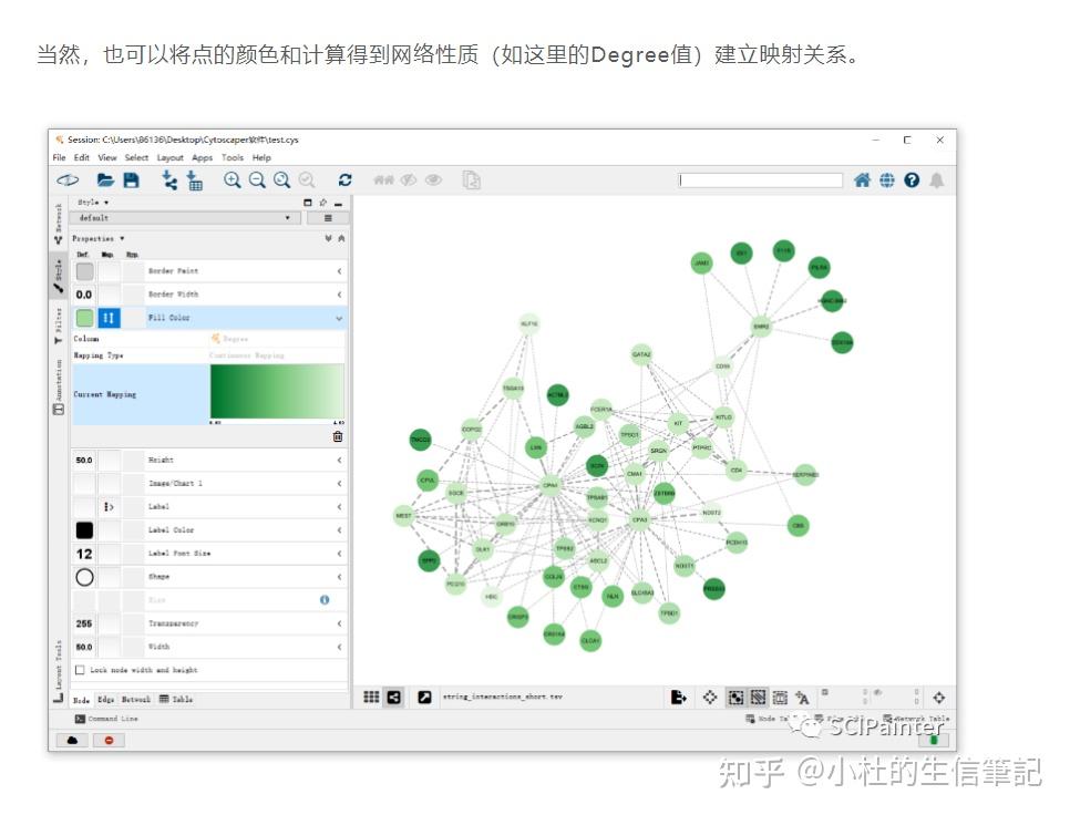 Cytoscape软件下载、安装、插件学习[基础教程] - 知乎