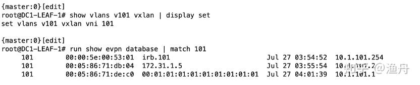 JUNIPER EVPN+VXLAN 基于FBF的转发 - 知乎