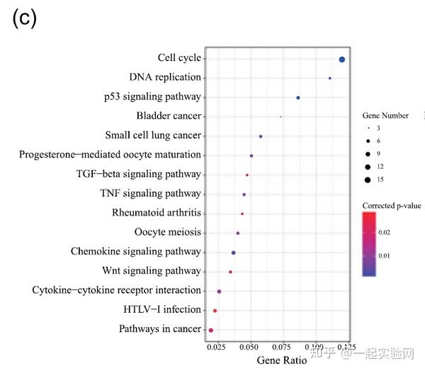 解读文献里的那些图—气泡图 - 知乎