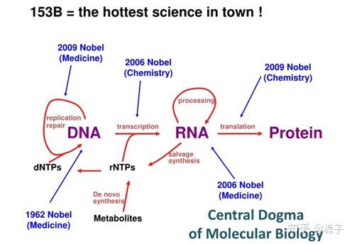 【技术分享】破译中心法则：从单细胞单组学到多组学 - 知乎