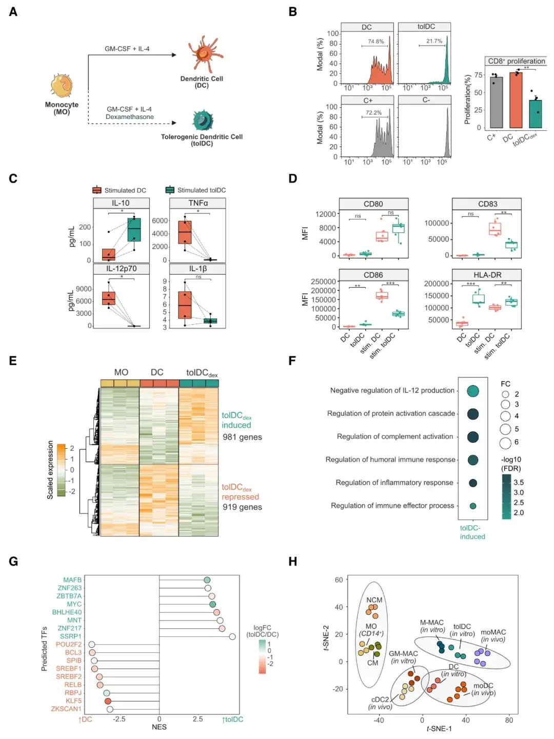 Nucleic Acids Res|Esteban Ballestar团队揭示影响甲状腺细胞生成与表观基因组重构的分子机制 - 知乎