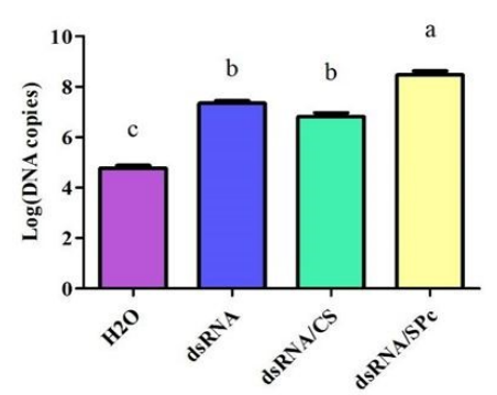 每日科研进展 l 2023.03.09 l 一种有前途的环保害虫防治方案：纳米载体递送的dsRNA用于控制入侵害虫番茄潜麦蛾 - 知乎