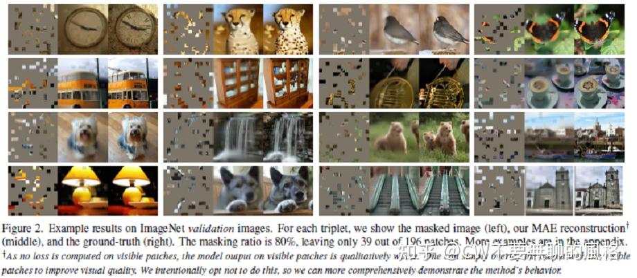 别再无聊地吹捧了，一起来动手实现 MAE(Masked Autoencoders Are Scalable Vision Learners ...