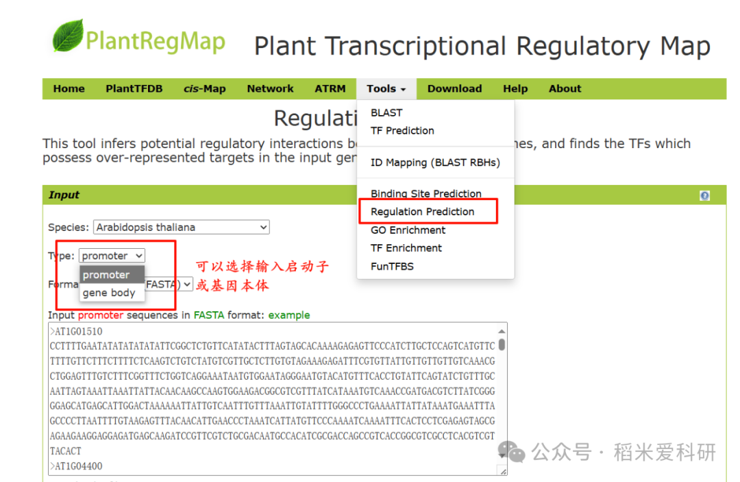 PlantRegMap-植物转录调控分析数据库 - 知乎