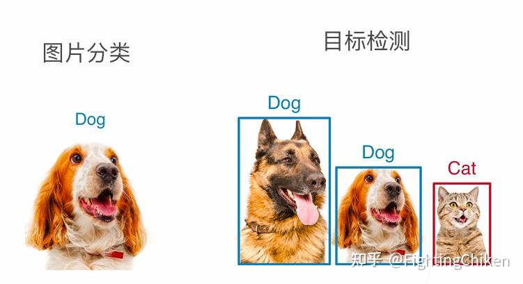 《动手学深度学习》笔记(物体检测和数据集）（ImageNet Dogs））（三十三） - 知乎