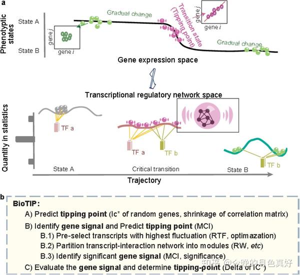 单细胞文章打卡87---BioTip - 知乎