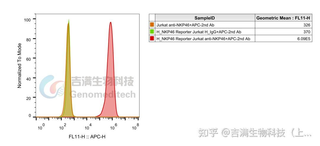 NKp46：推动新一代癌症免疫疗法的新兴靶点 - 知乎