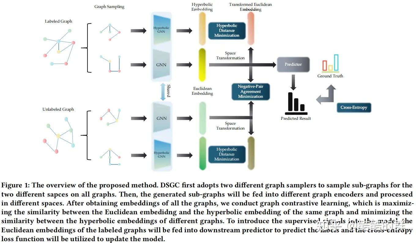 DSGC：双空间图对比学习 - 知乎