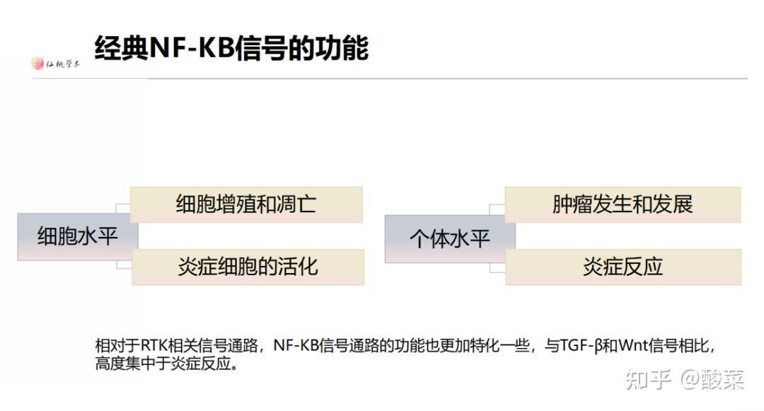 信号通路是什么鬼？先给你们讲讲难啃的 NF-κB 信号通路…… - 知乎