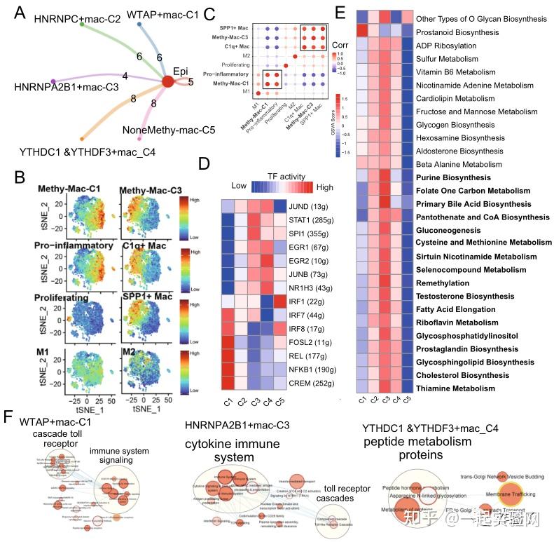 8+！单细胞+m6A相关分析~ - 知乎