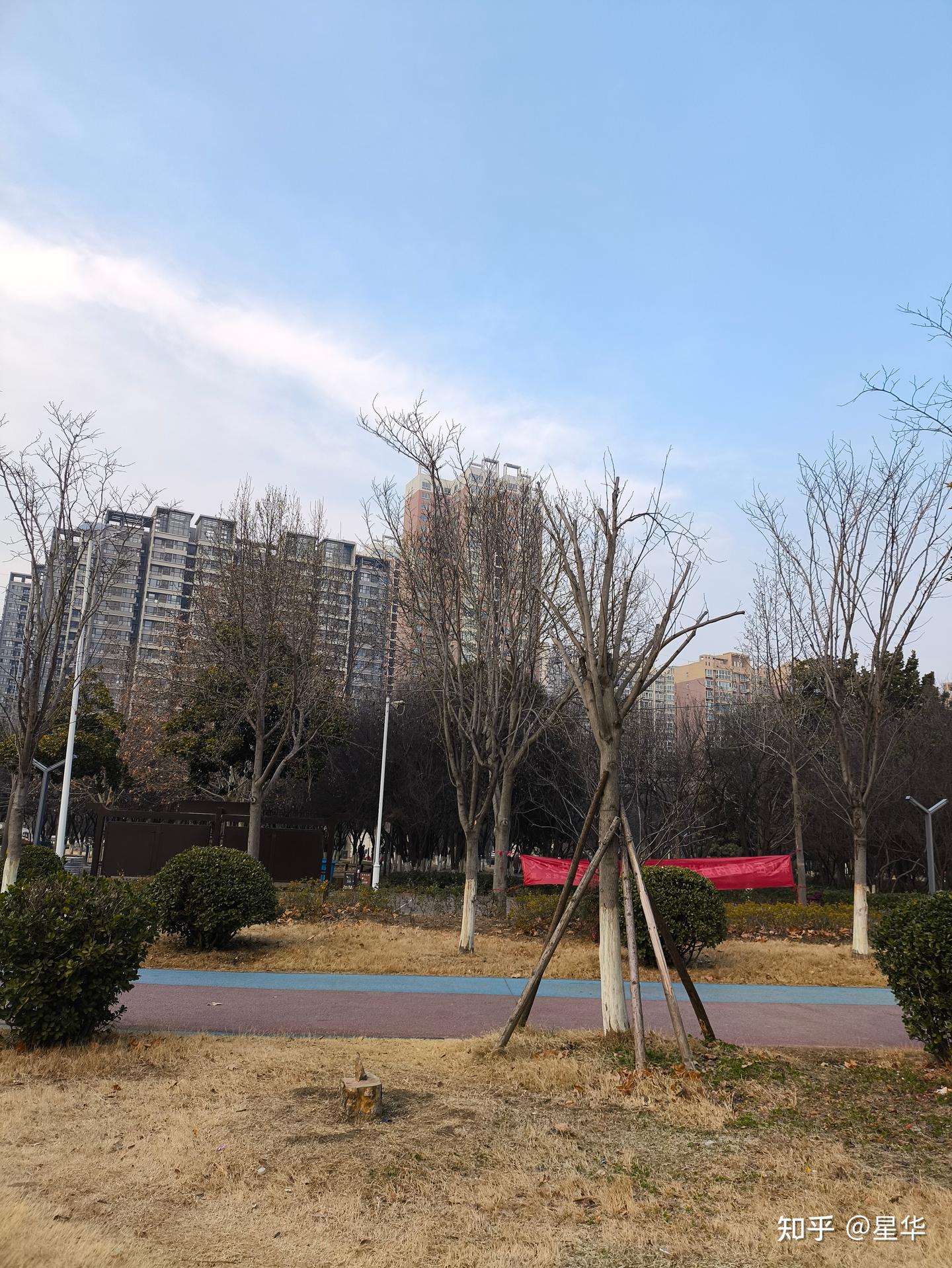 GLM-4V-Flash情感模型推出，如何训练一个图像情感分析模型 - 知乎