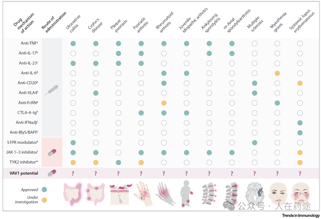 22.5亿美元！诺华青睐的VAV1分子胶长啥样？市场前景如何？ - 知乎