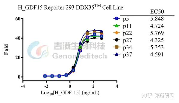 GDF15崛起：能否成为继PD-1、GLP-1之后的“超级靶点”？ - 知乎