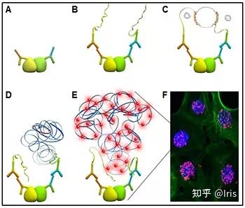邻位连接PLA-学习笔记 - 知乎